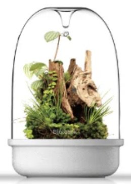 Bioloark MQ-150 WHITE - אקווריום